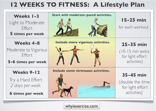 Exercise Program Moderate Exercise Program